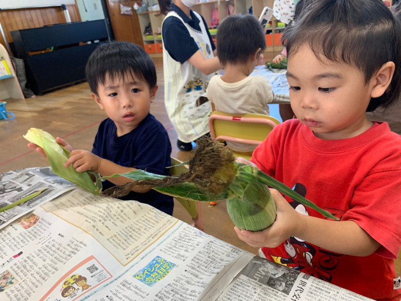 responsive-lightbox-thumbnail | 鴨池幼稚園